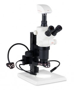 Leica S8 APO Microscope | Microscope Service and Sales